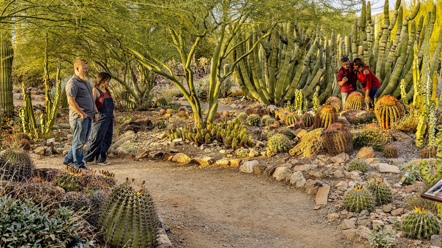 Cell Culture Engineering XIX